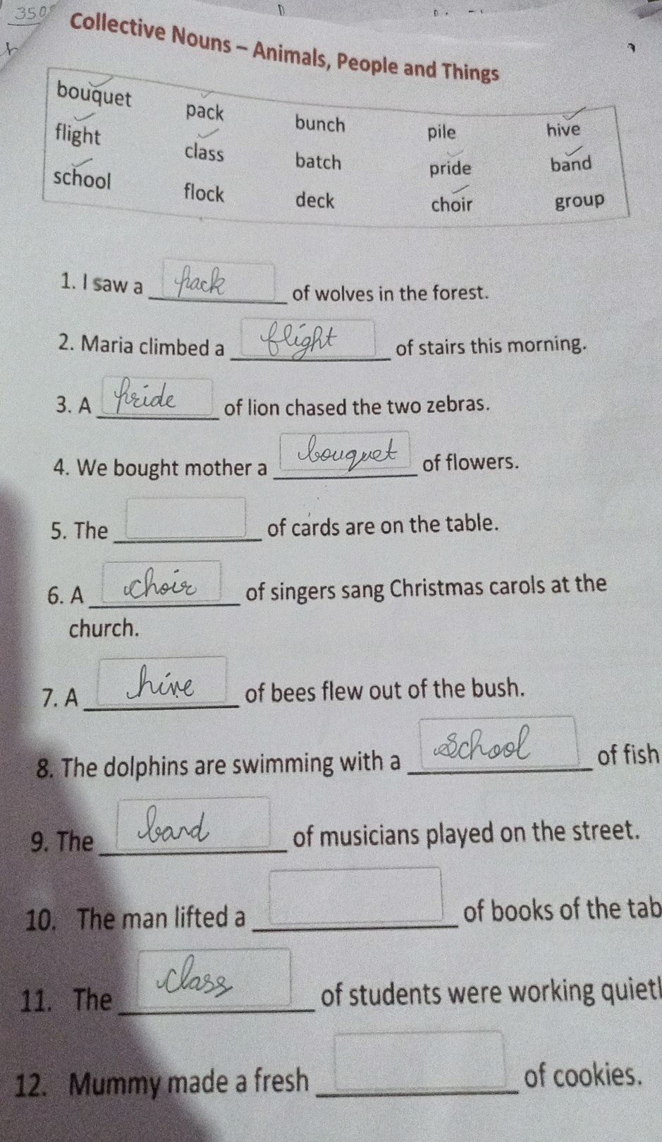 Collective Nouns - Animals, People and | StudyX