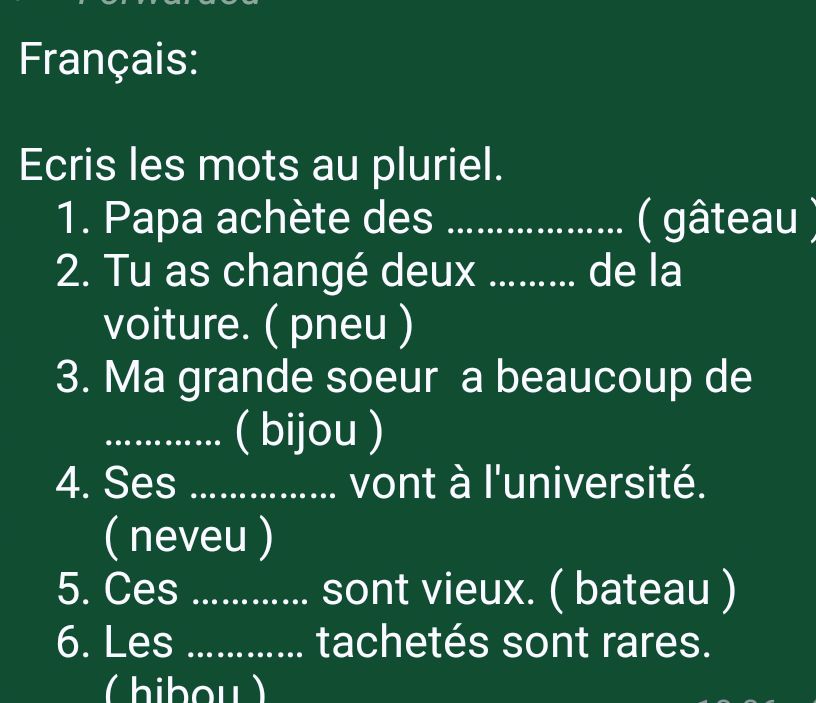 Ecris les mots au pluriel. 1. Papa achète | StudyX