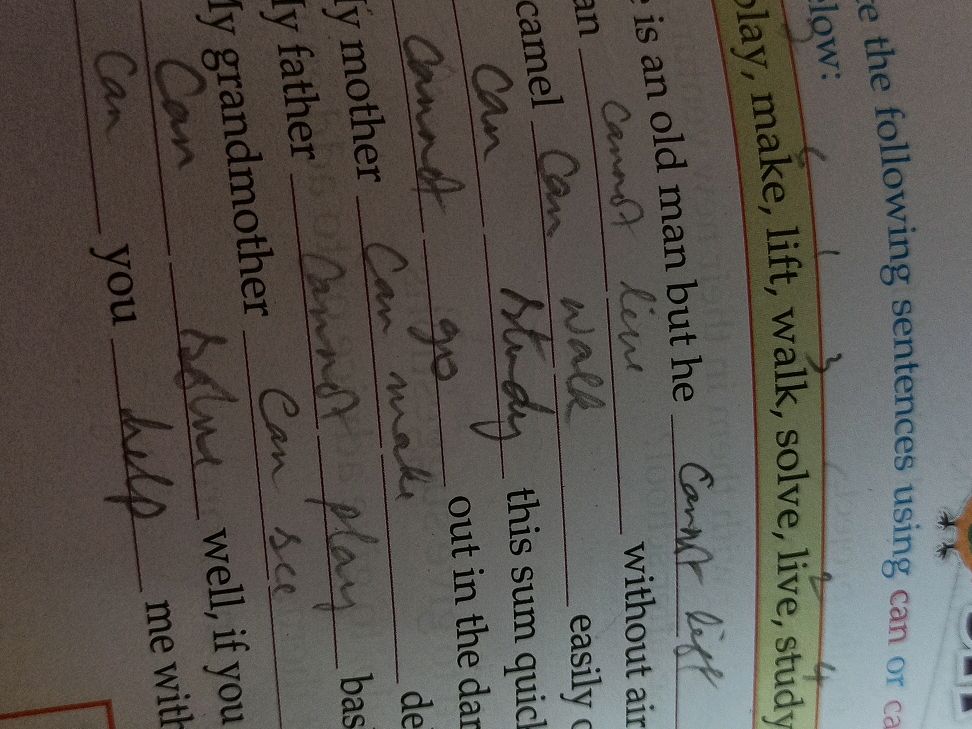 Complete the following sentences using can | StudyX