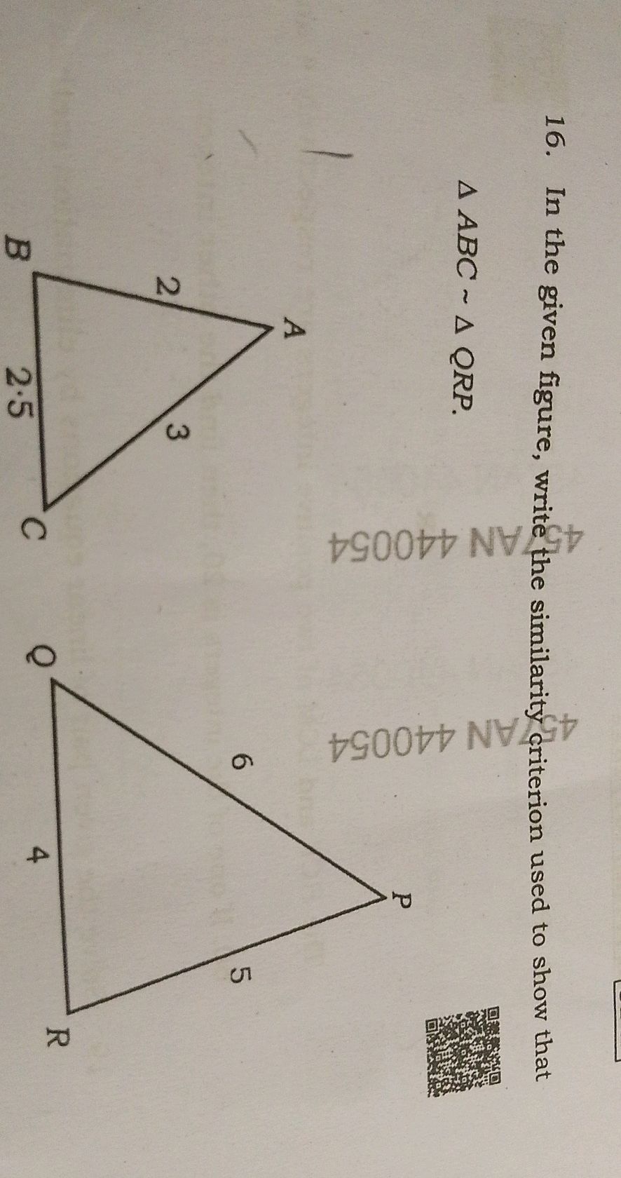 16. In the given figure, write the | StudyX