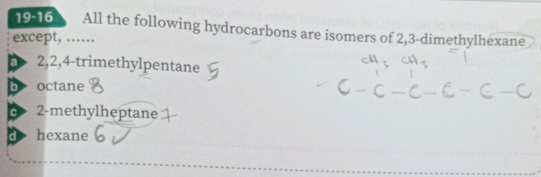 All the following hydrocarbons are isomers | StudyX