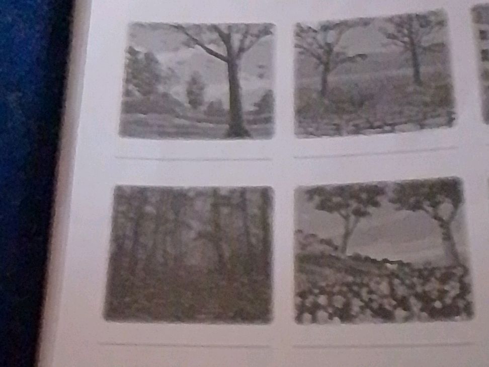 The image contains four different landscape | StudyX