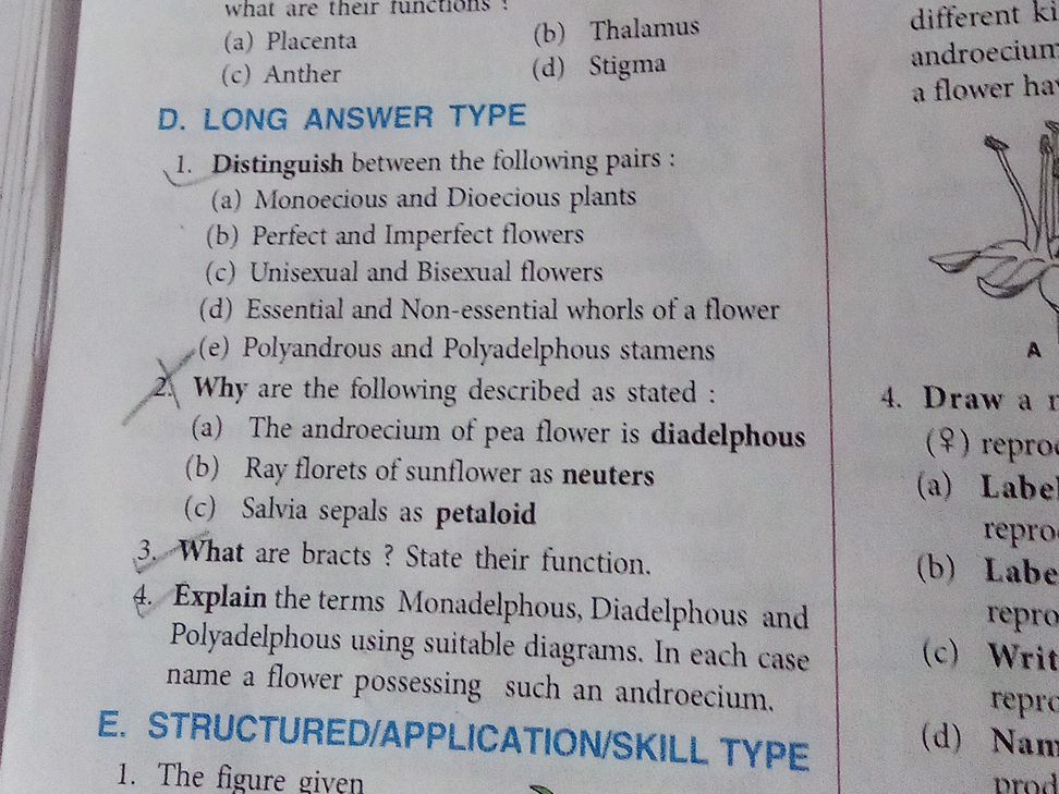 1. Distinguish between the following pairs: | StudyX