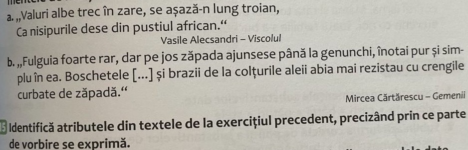 Identifică atributele din textele de la | StudyX