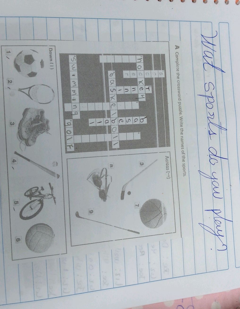 Wat sports do you play? A Complete the