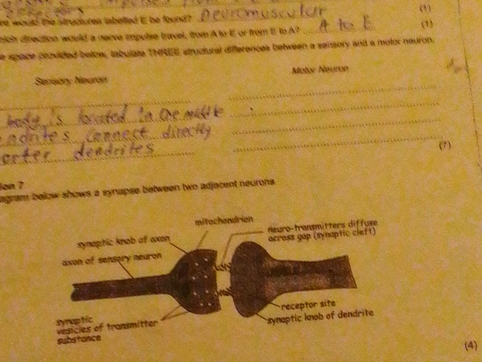 In the space provided below, tabulate THREE | StudyX