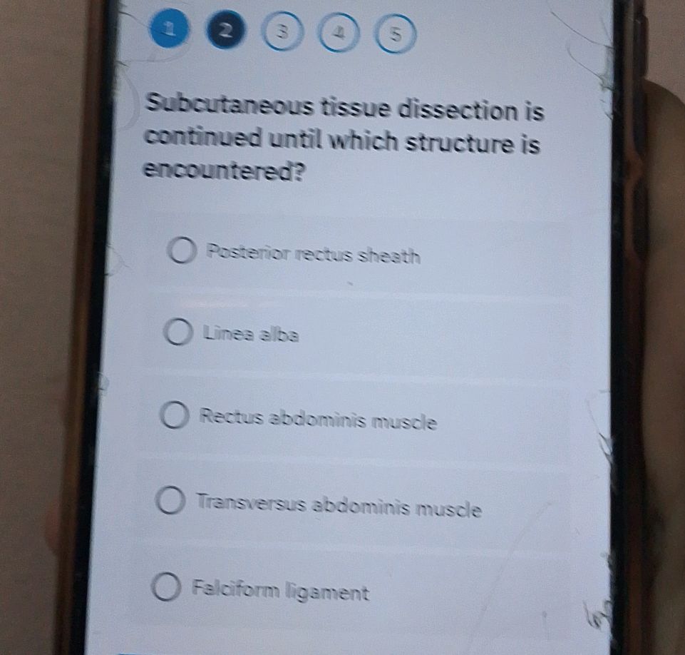 Subcutaneous tissue dissection is continued | StudyX