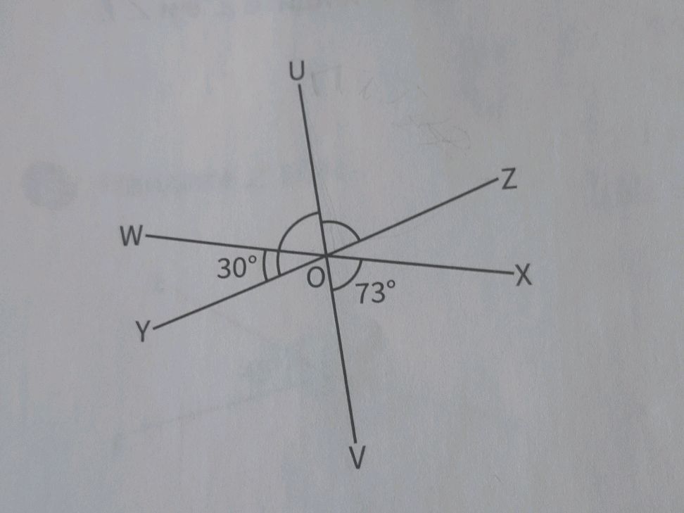 The image shows intersecting lines with | StudyX