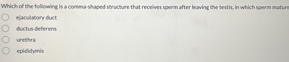 Which of the following is a comma-shaped
