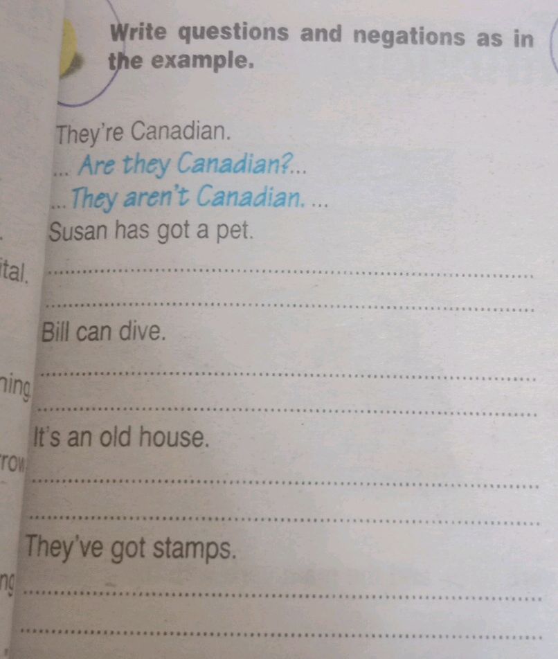 Write questions and negations as in the | StudyX