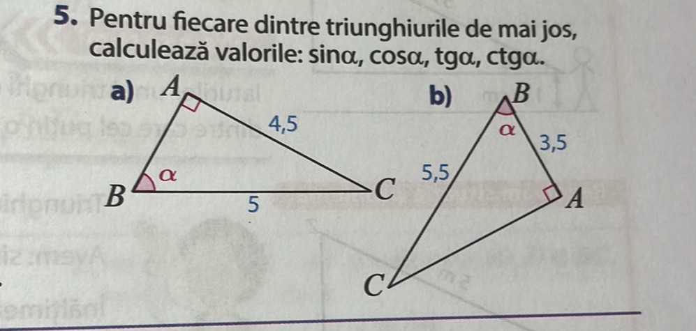 5. Pentru fiecare dintre triunghiurile de | StudyX