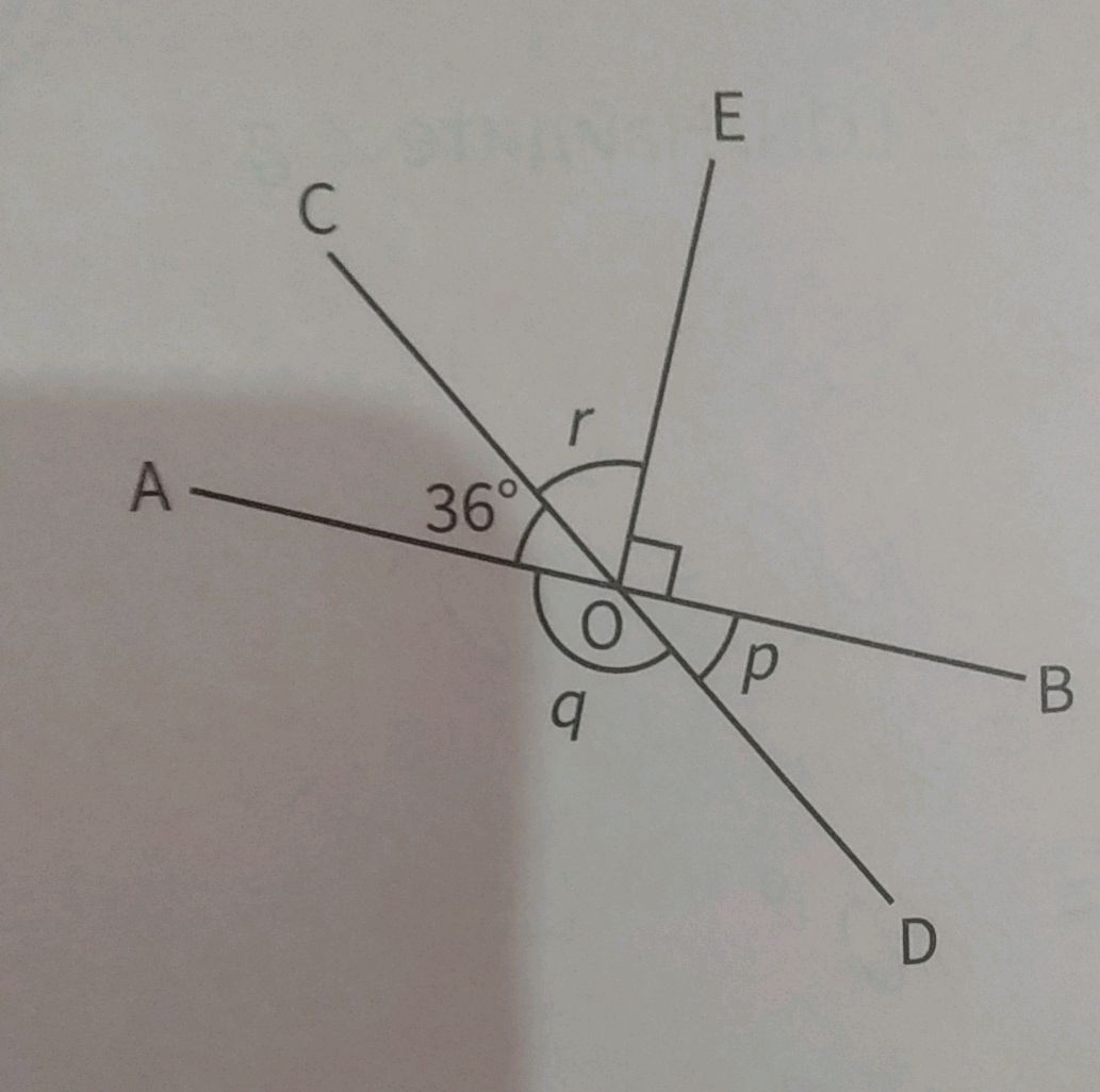 The image shows intersecting lines and | StudyX