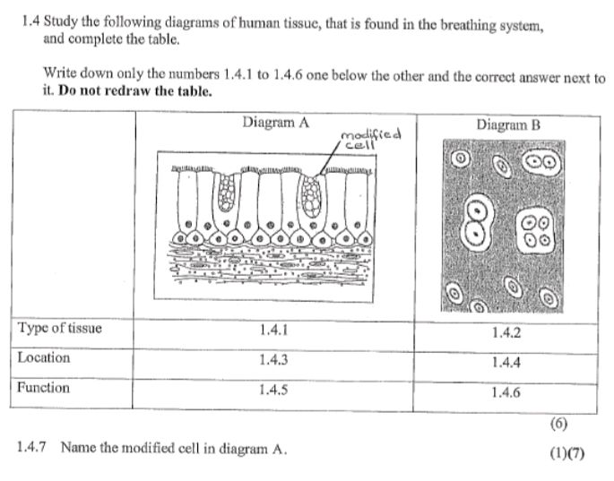 1.4 Study the following diagrams of human | StudyX