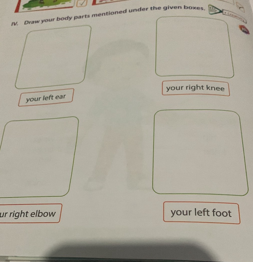 IV. Draw your body parts mentioned under the | StudyX