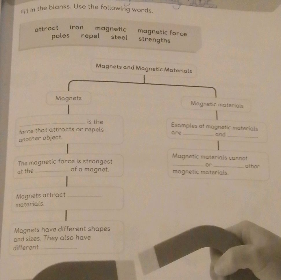 Fill in the blanks. Use the following words. | StudyX