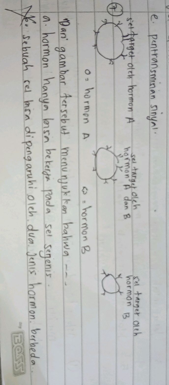 e. pentransmisian sinyal. sel target oleh | StudyX