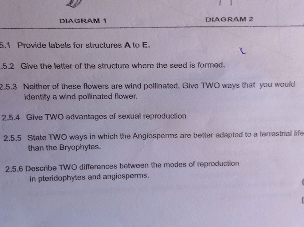 5.1 Provide labels for structures A to E. | StudyX