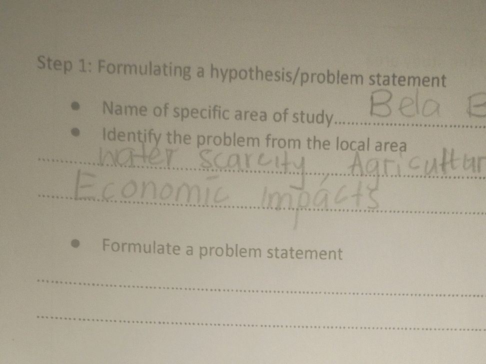 Step 1: Formulating a hypothesis/problem | StudyX