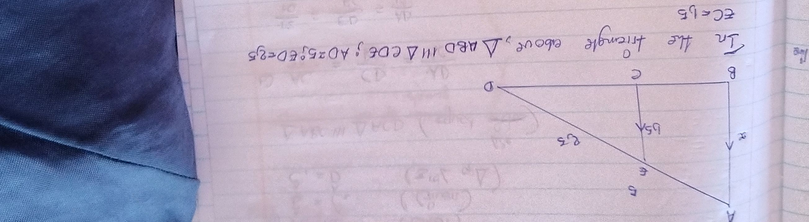 In the triangle above, $ ABD CDE$; | StudyX