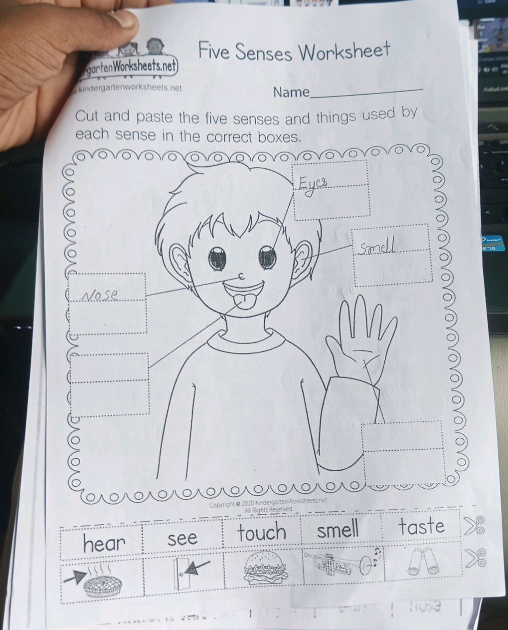 Cut and paste the five senses and things | StudyX