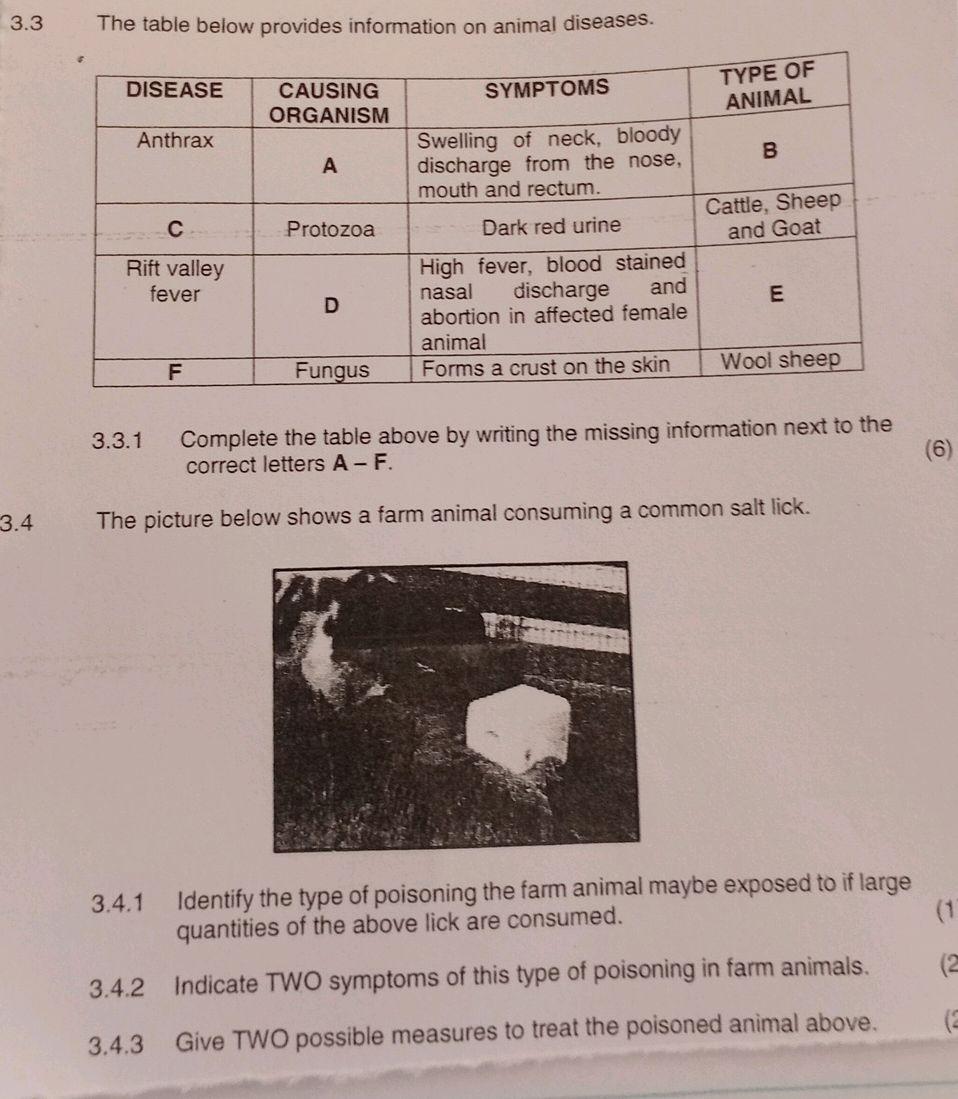 The table below provides information on | StudyX