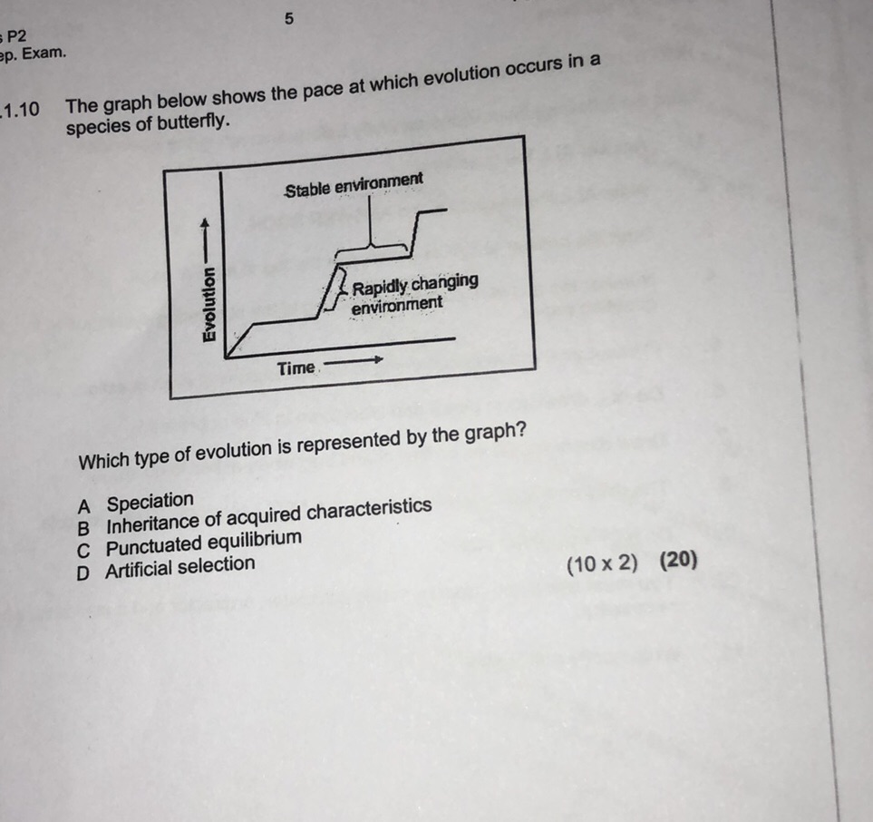 The graph below shows the pace at which | StudyX