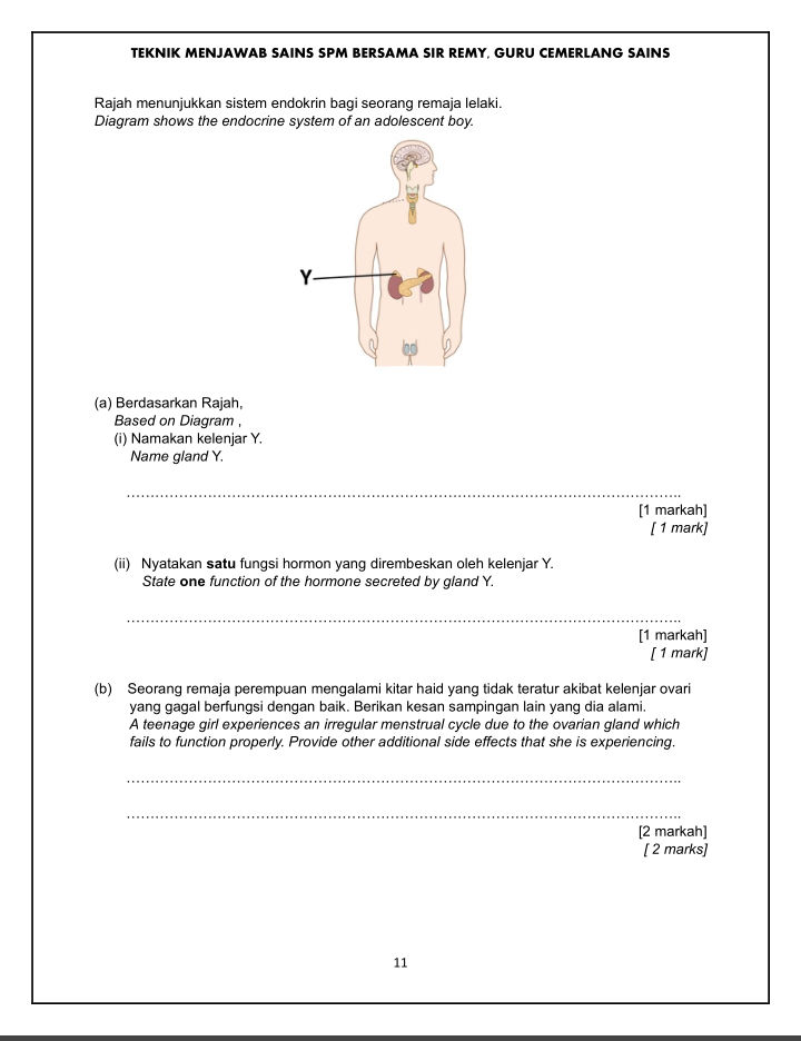 (a) Berdasarkan Rajah, Based on Diagram, (i) | StudyX