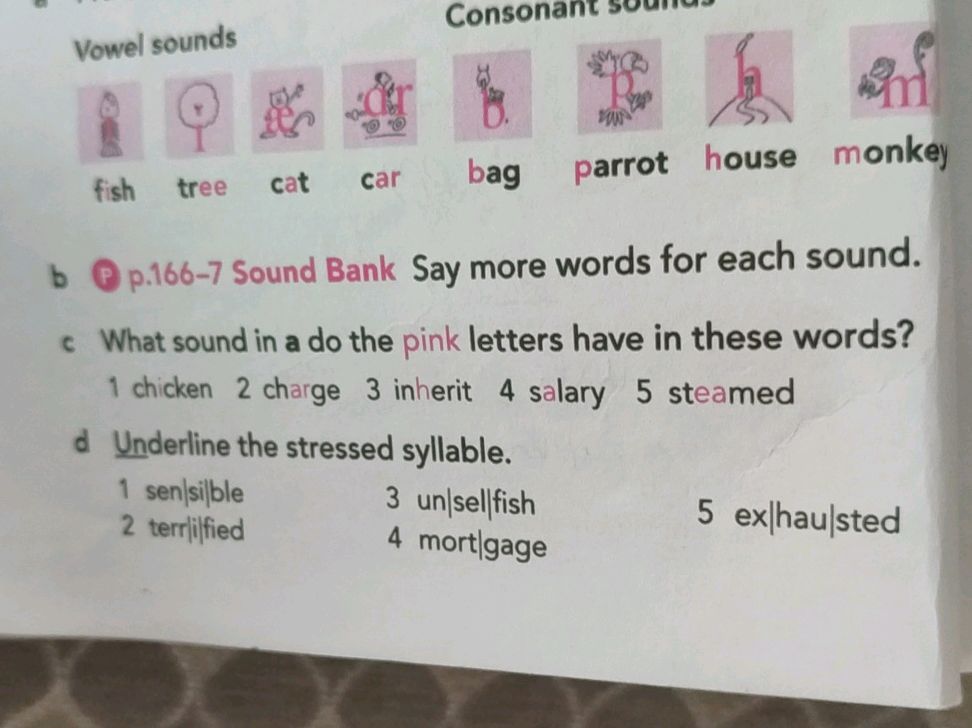 c What sound in a do the pink letters have | StudyX