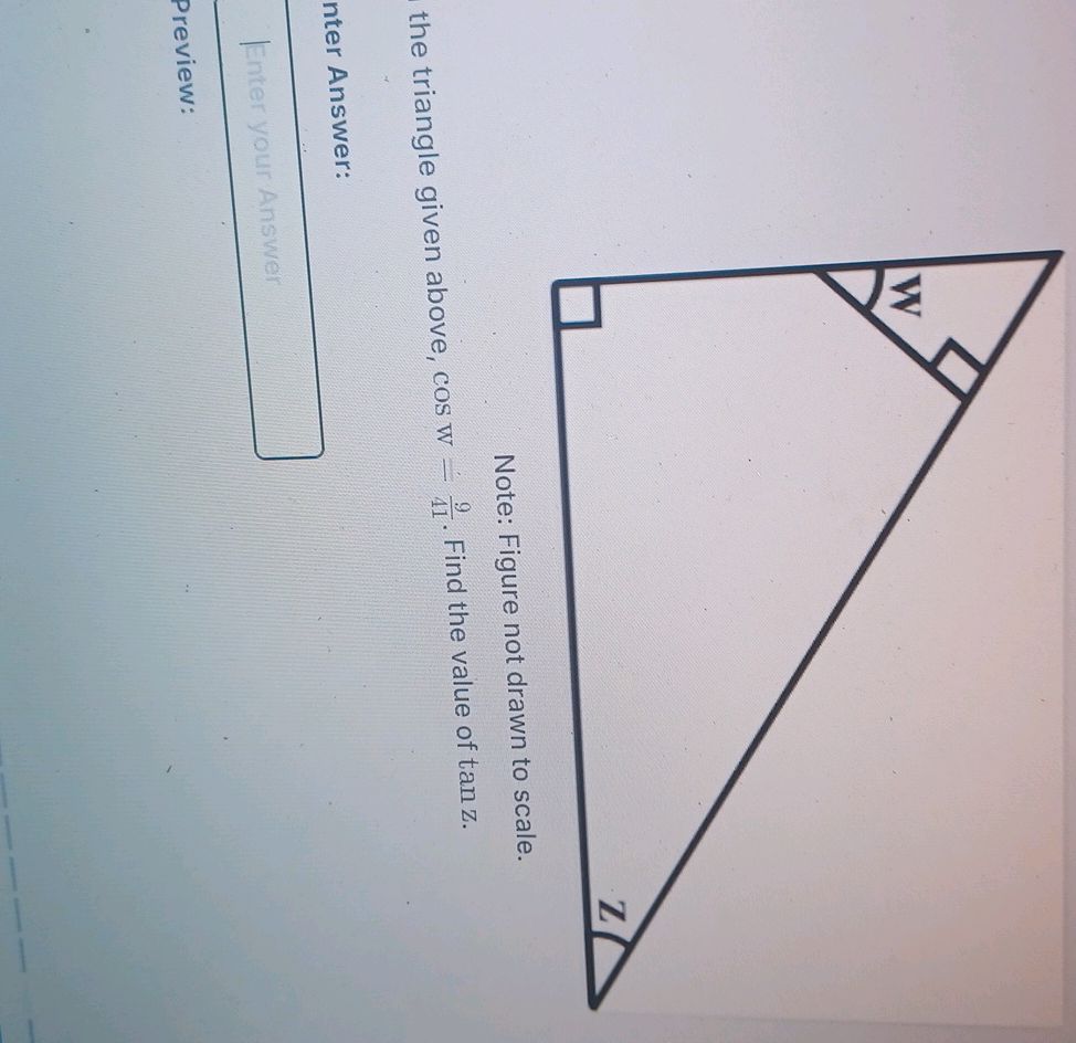 Given the triangle above, $ w = {9}{41}$. | StudyX