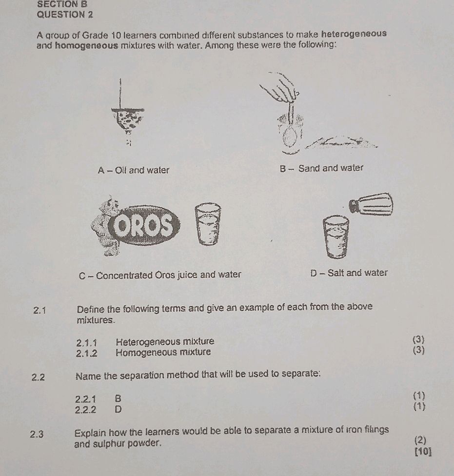 A group of Grade 10 learners combined | StudyX