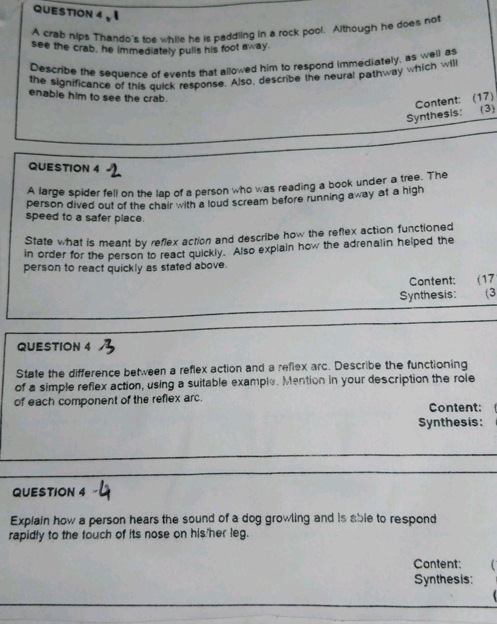 QUESTION 4,1 A crab nips Thando's toe while | StudyX