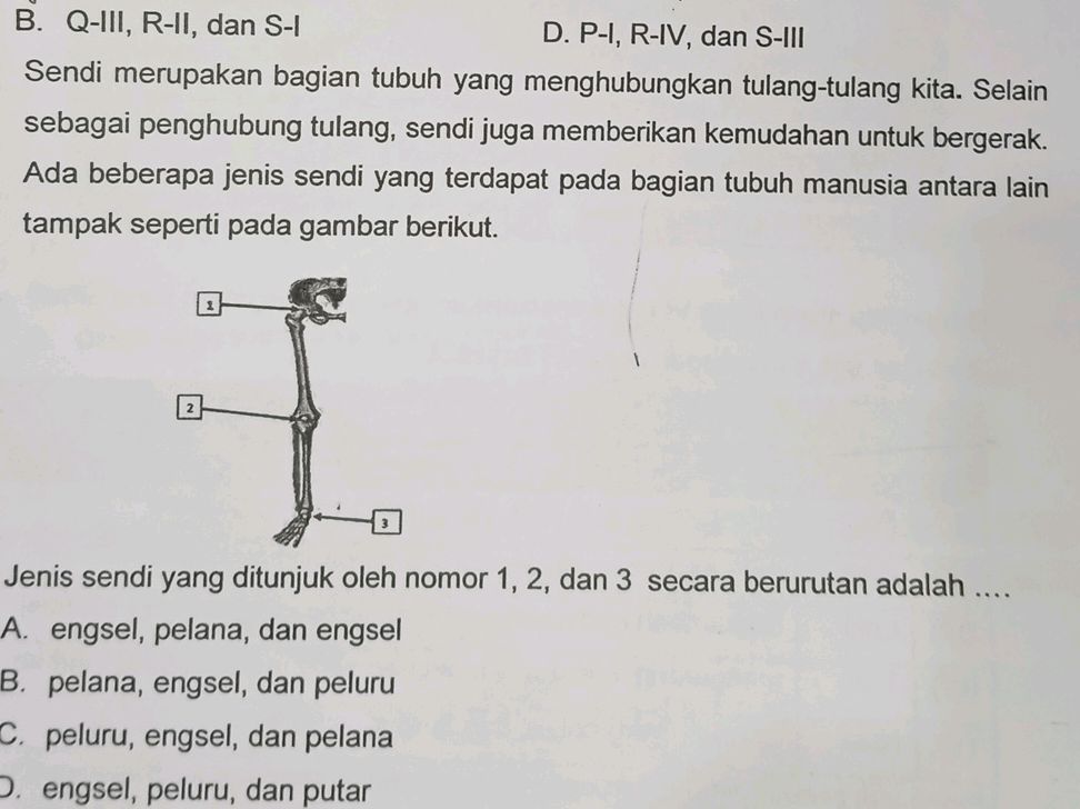 Jenis sendi yang ditunjuk oleh nomor 1, 2, | StudyX