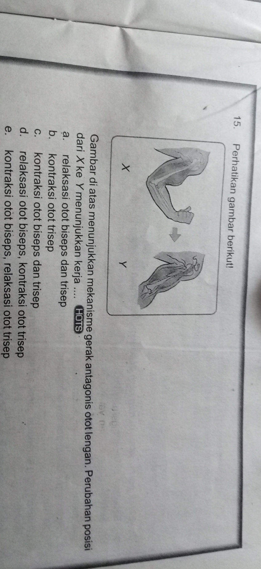 Perhatikan gambar berikut! Gambar di atas | StudyX