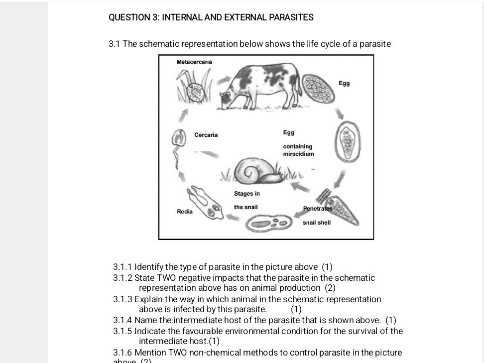 QUESTION 3: INTERNAL AND EXTERNAL PARASITES | StudyX