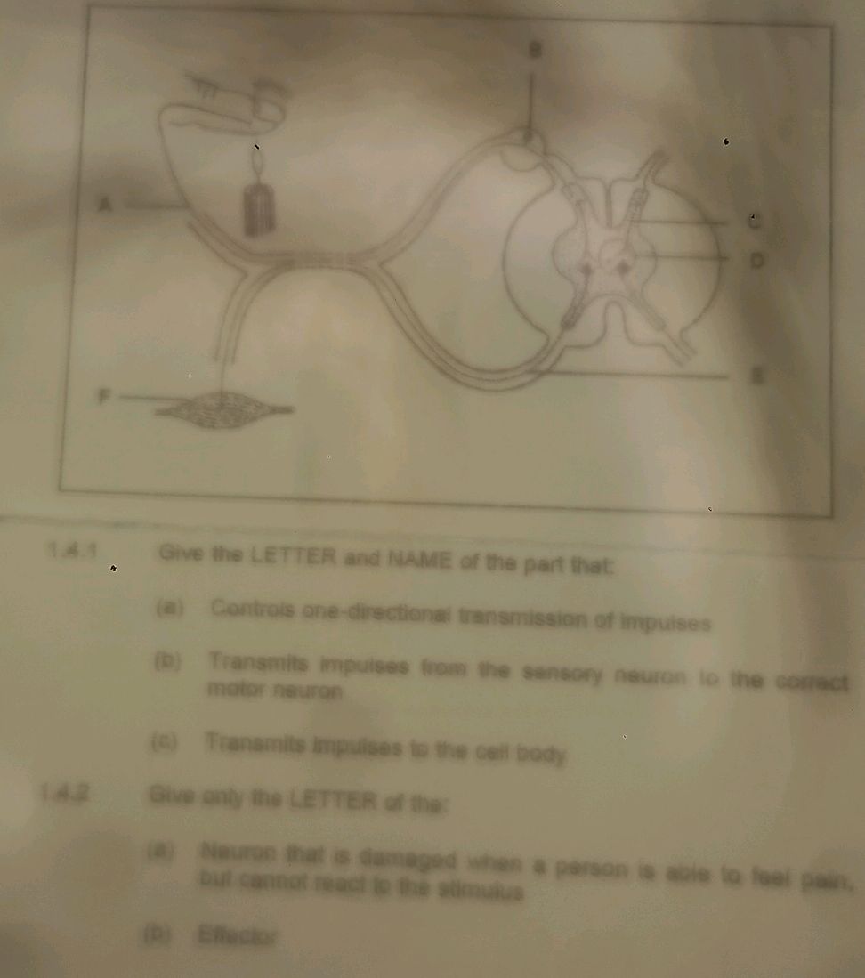 1. 1 Give the LETTER and NAME of the part | StudyX