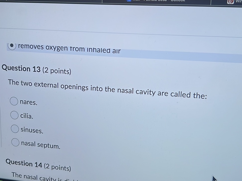 Question 13 (2 points) The two external | StudyX