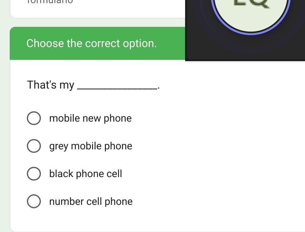 Choose the correct option. That's my _____ | StudyX