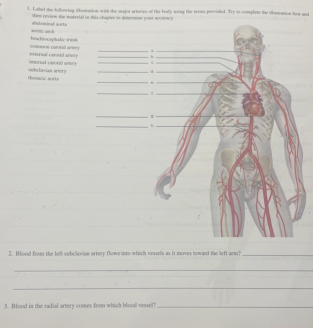 1. Label the following illustration with the | StudyX