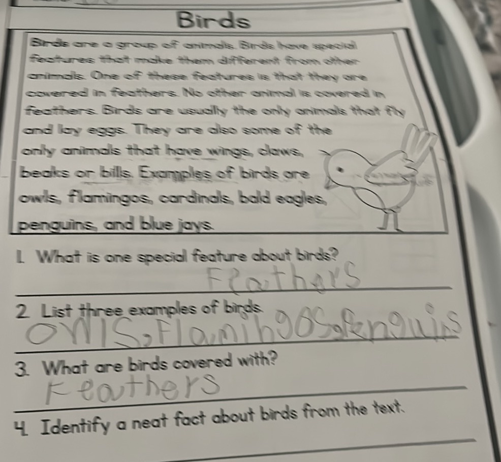 Birds Birds are a group of animals. Birds | StudyX