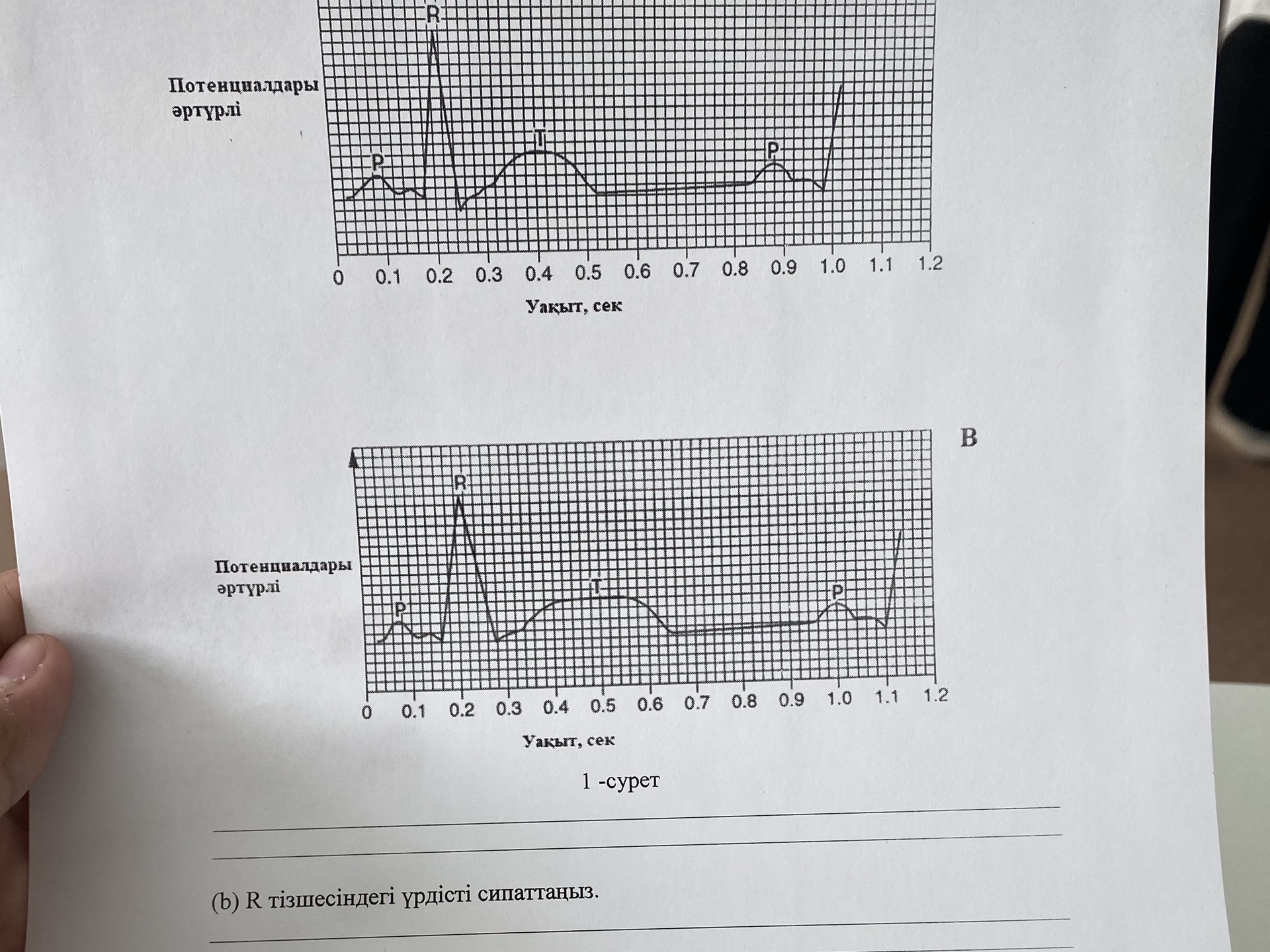 (b) R тізшесіндегі үрдісті сипаттаңыз. The | StudyX