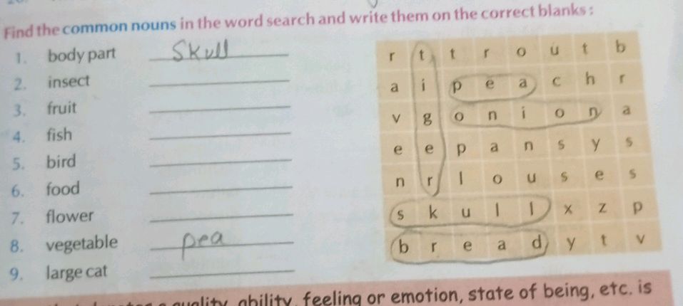 Find the common nouns in the word search and | StudyX