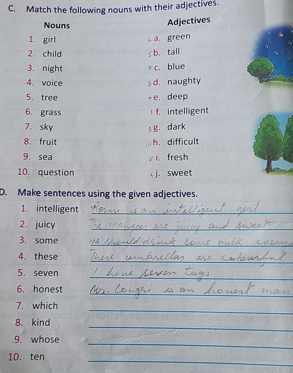 C. Match the following nouns with their | StudyX