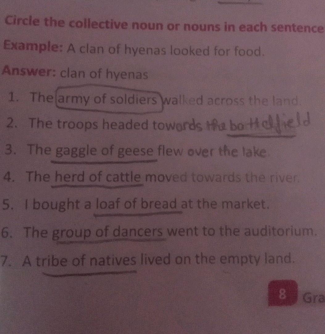 Circle the collective noun or nouns in each | StudyX