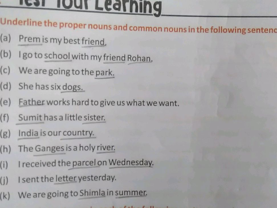 Underline the proper nouns and common nouns | StudyX