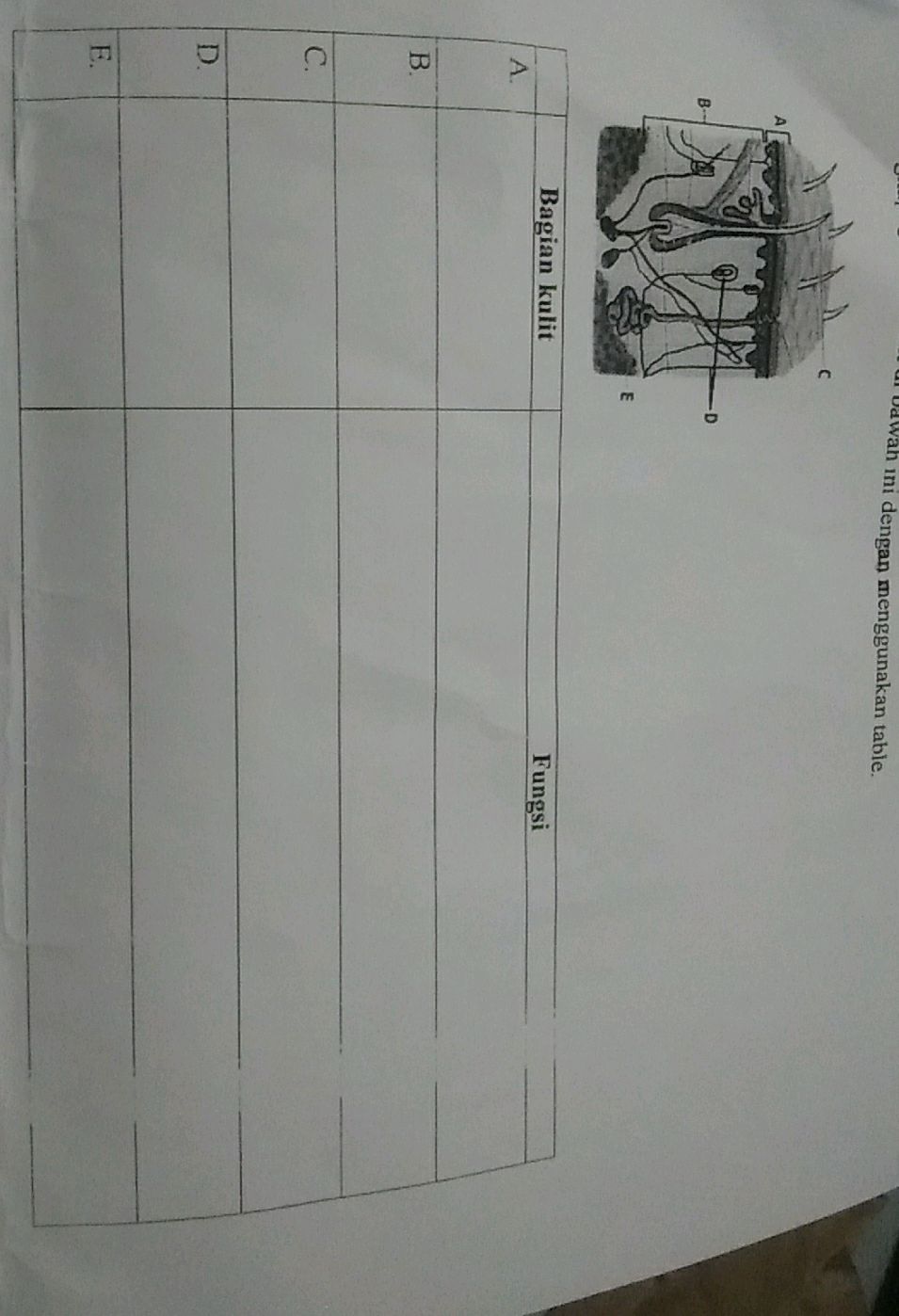 Buatlah tabel untuk mengidentifikasi | StudyX