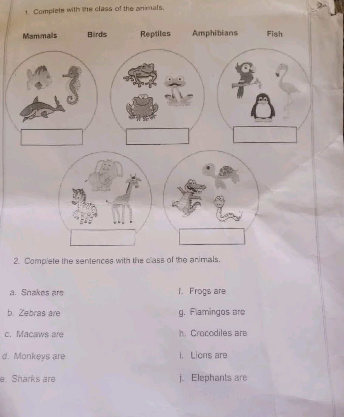 1. Complete with the class of the animals. | StudyX