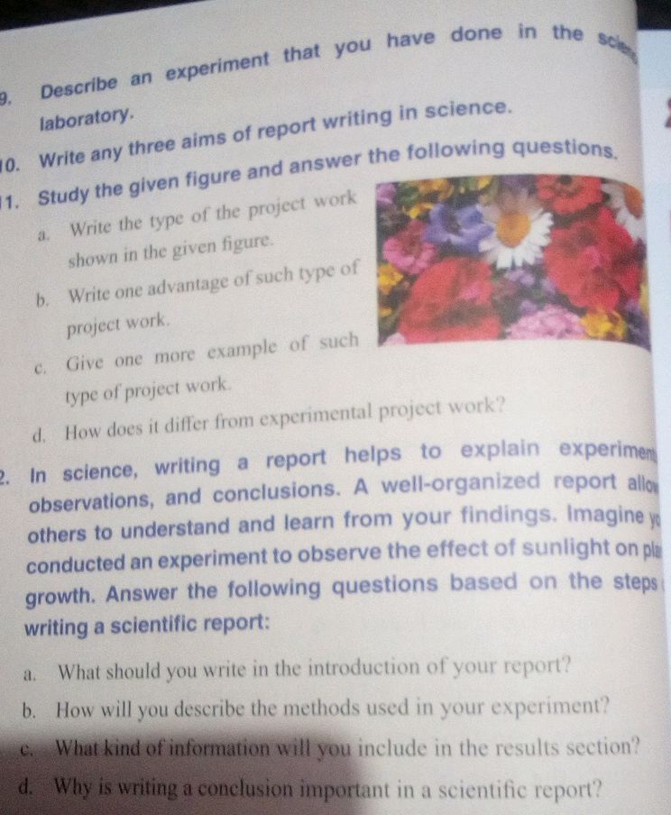 9. Describe an experiment that you have done | StudyX