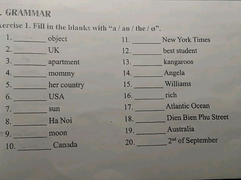 Exercise 1. Fill in the blanks with "a / an | StudyX