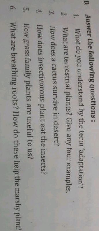 D. Answer the following questions: 1. What | StudyX