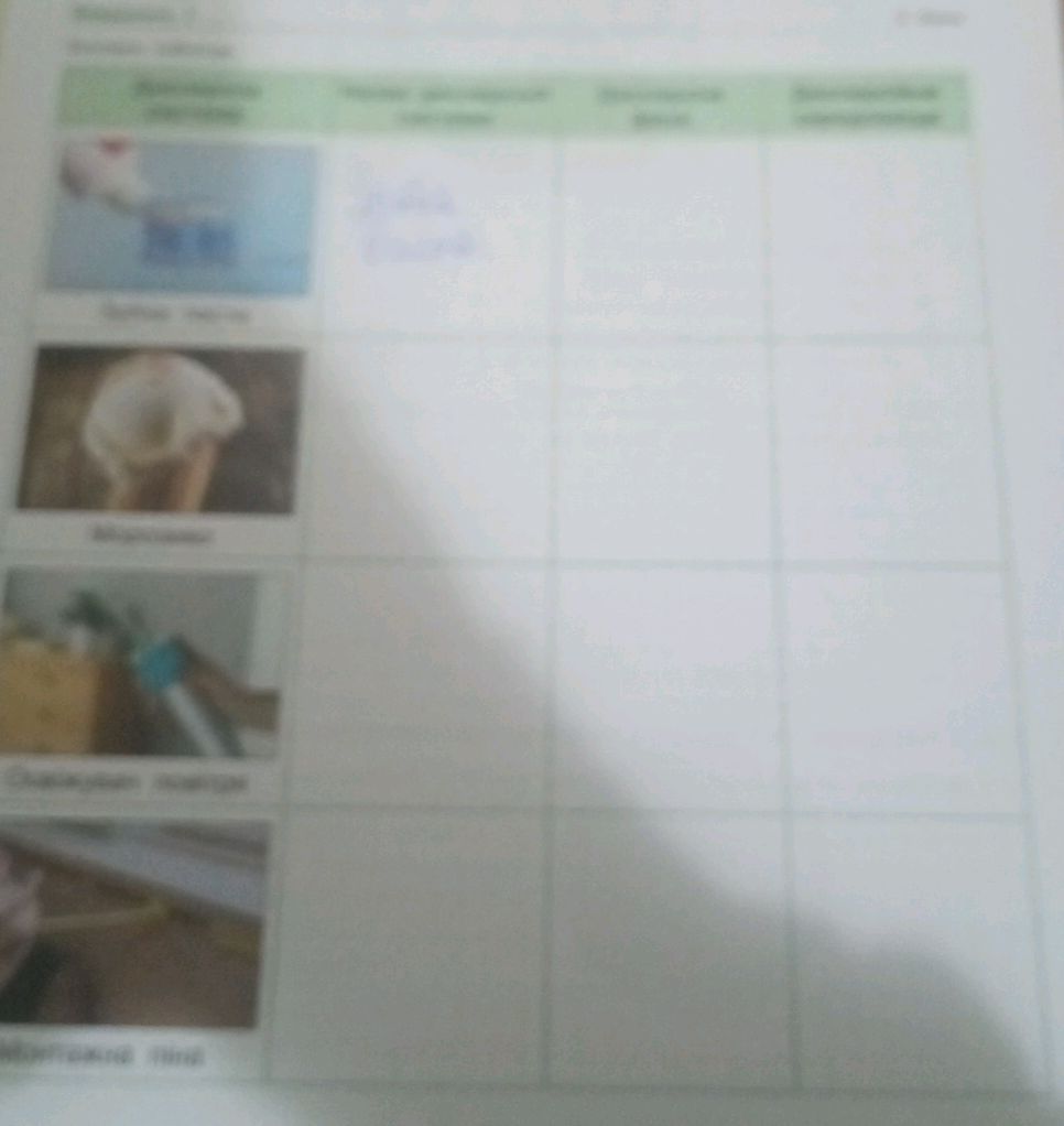 The image contains a table with pictures and | StudyX